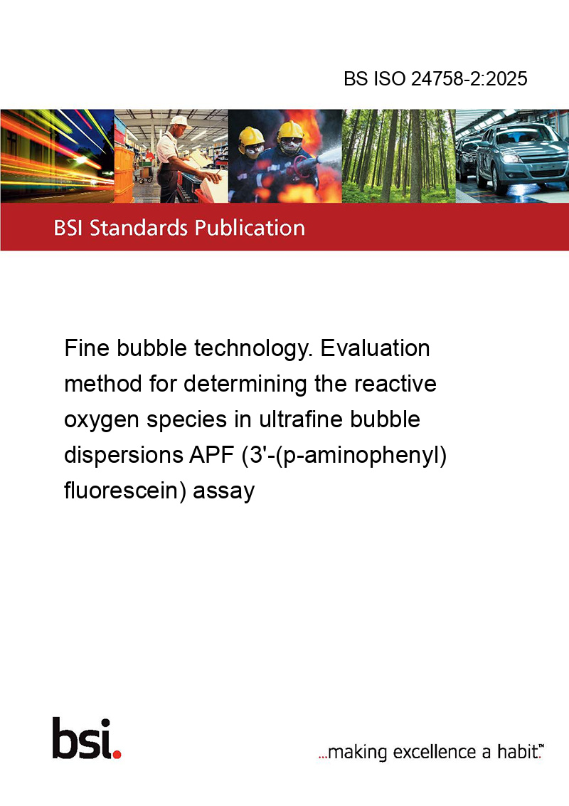 BS ISO 24758-2:2025 Fine bubble technology. Evaluation method for ...