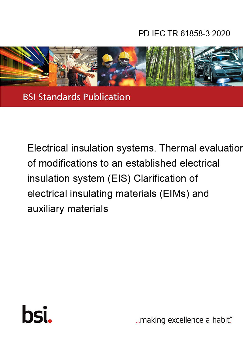 PD IEC TR 61858-3:2020 Electrical insulation systems. Thermal evaluation of modifications to an ...